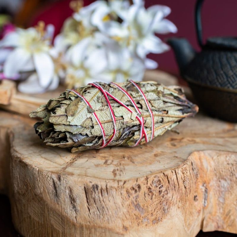 Yerba Santa Smudge Stick - Plants of Nature